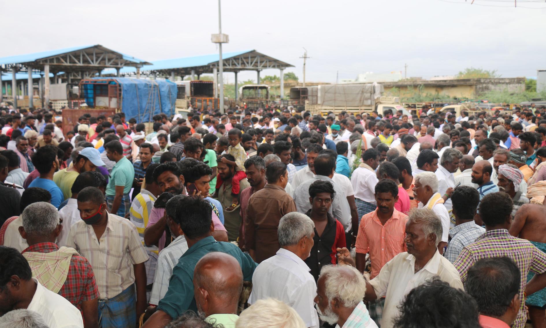மேலப்பாளையம் சந்தையில் ரூ.45 ஆயிரம் வரை விலைபோன கிடாக்கள் | tamil news ...