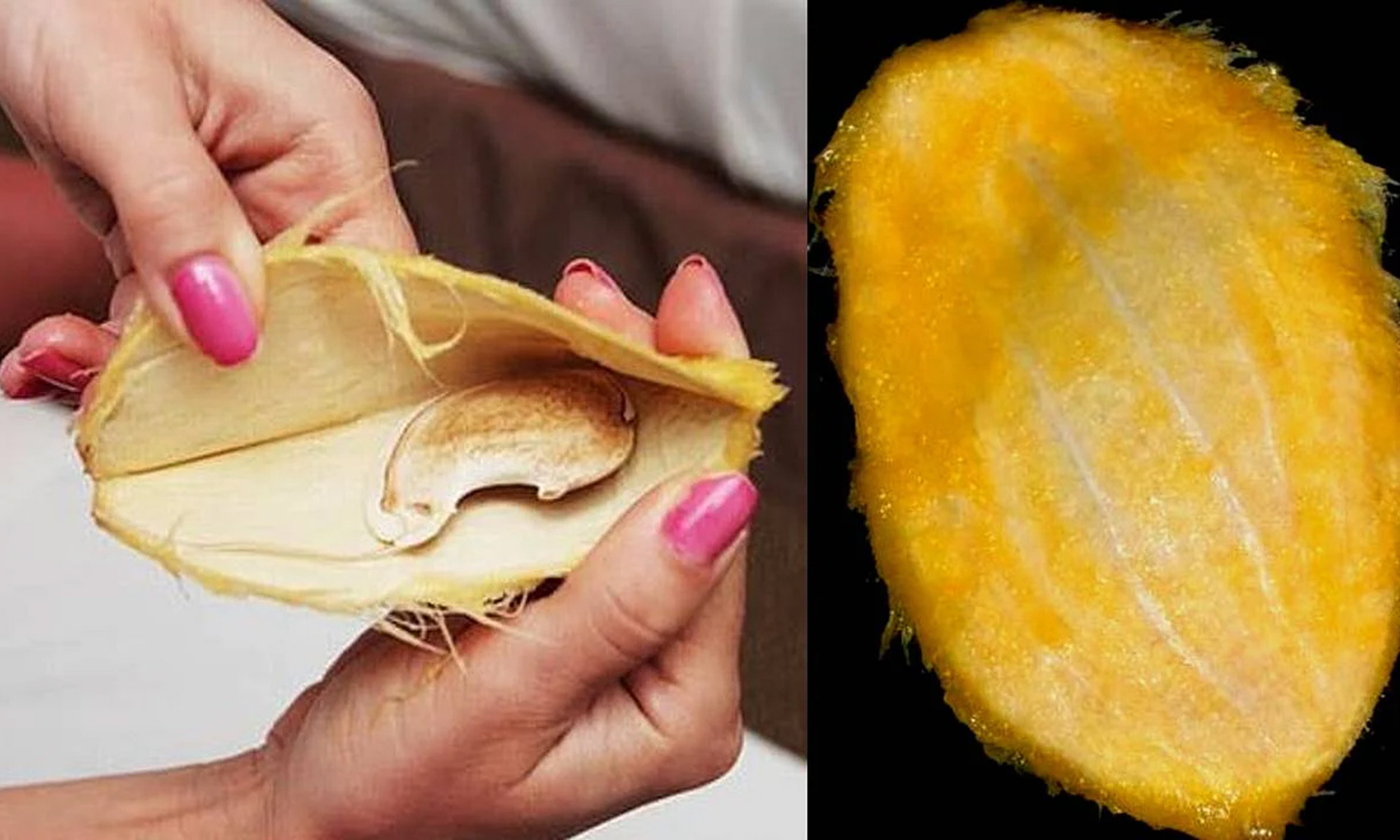 மாங்கொட்டையில் இவ்வளவு நன்மைகளா? | Mango seed Benefits