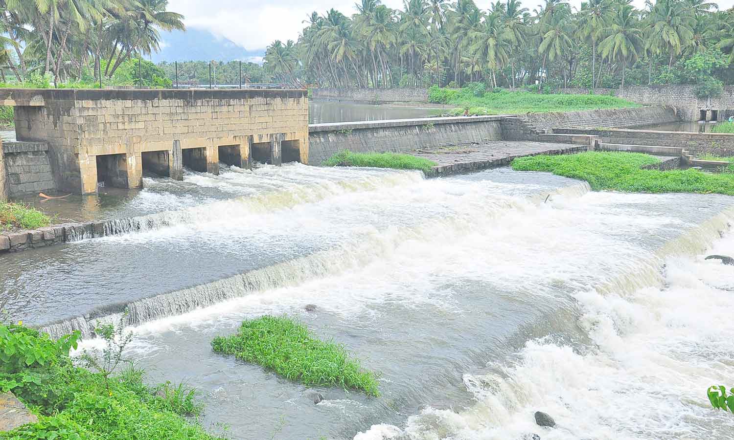 குமரியில் மழை நீடிப்பு- பெருஞ்சாணி அணை 70 அடியை நெருங்குகிறது | rain ...