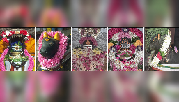 பரமத்தி வேலூர் பகுதிகளில் சிவன் கோவில்களில் பிரதோஷ வழிபாடு | Paramathi ...