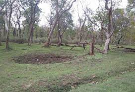 வனச்சரக அலுவலர்களுக்கு நவீன பாதுகாப்பு கருவி | A modern safety tool for ...