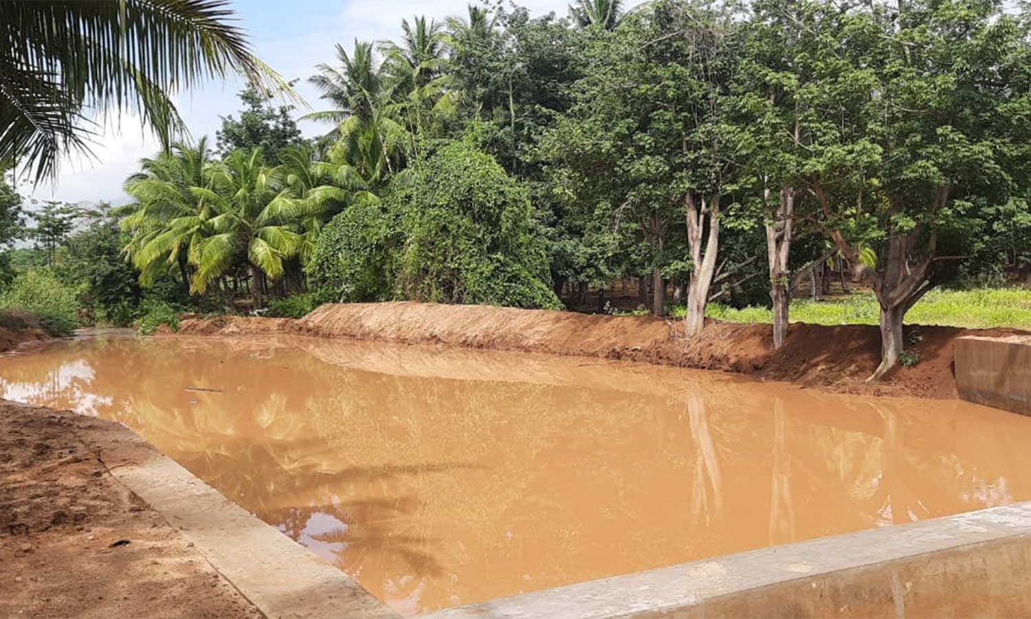 வருசாடு பகுதியில் தடுப்பணைகளால் உயரும் நீர்மட்டம் | Rising Ground water ...