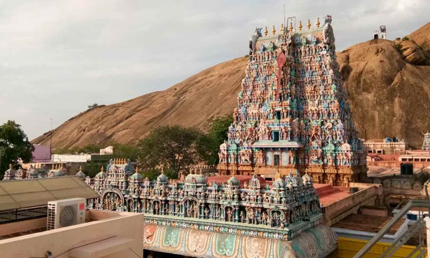 திருப்பரங்குன்றம் மலையில் மகாதீபம் ஏற்ற பக்தர்கள் நெய் காணிக்கை ...