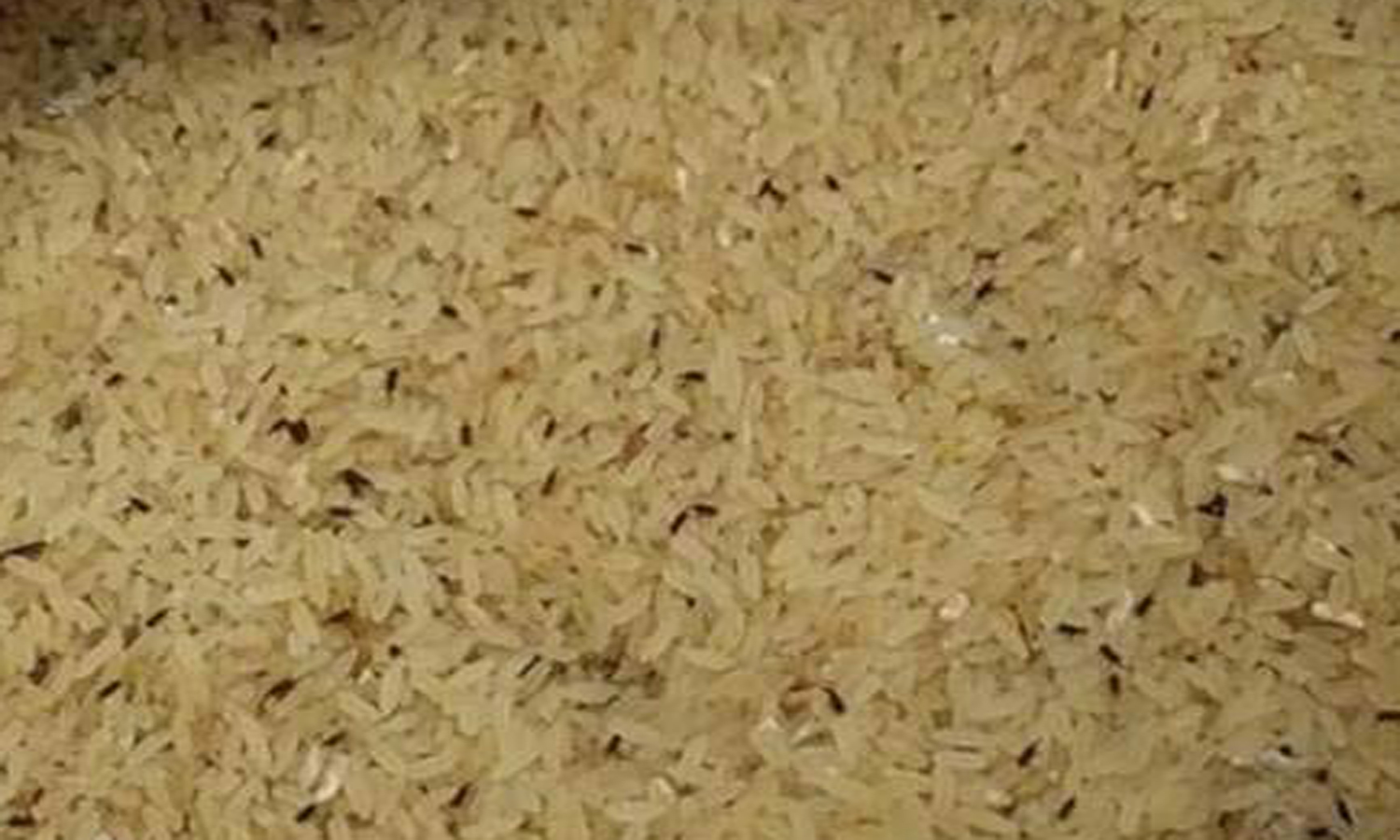 நித்திரவிளை அருகே காரில் கடத்திய 2 டன் ரேஷன் அரிசி பறிமுதல் ...