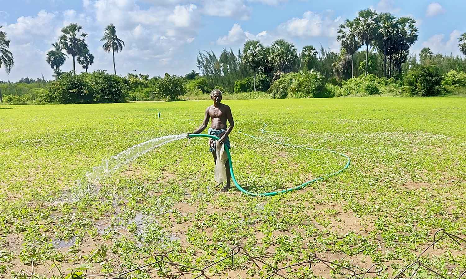 நிலக்கடலை சாகுபடிக்கு தண்ணீர் இறைக்கும் விவசாயிகள் | Farmers pumping ...