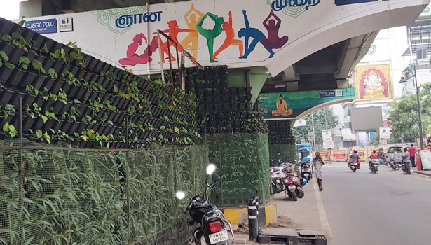 சென்னையில் வண்ண ஓவியங்கள், பூஞ்செடியுடன் ஜொலிக்கும் மேம்பால தூண்கள் ...