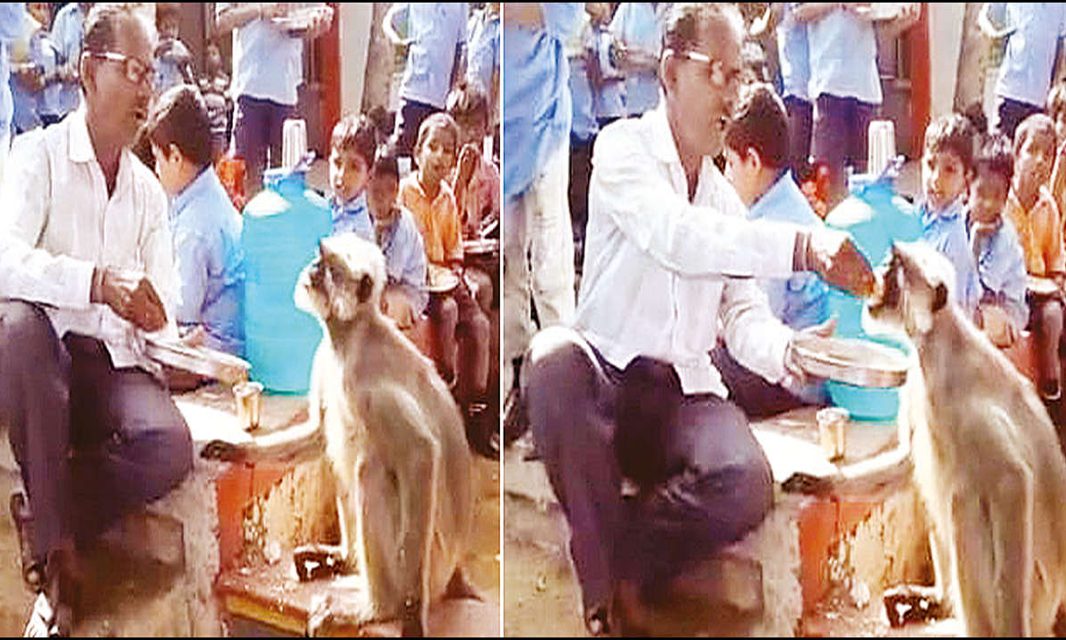 பள்ளிக்கூடத்திற்கு வந்த குரங்கிற்கு சாப்பாடு ஊட்டி விட்ட ஆசிரியர் ...