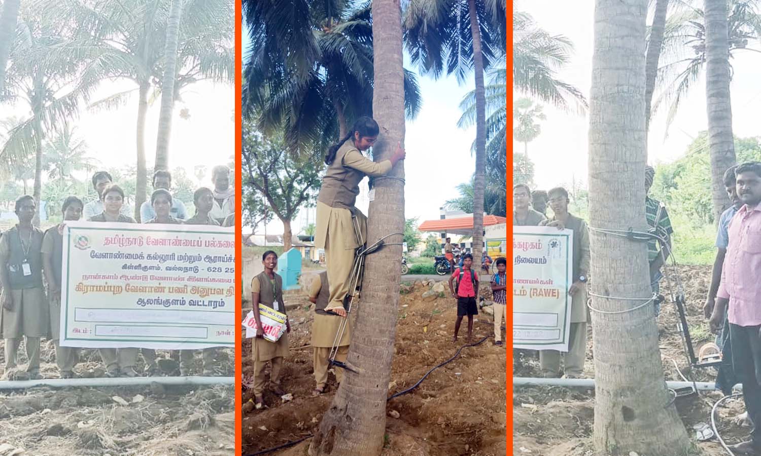 ஆலங்குளம் அருகே தென்னைமரம் ஏறும் கருவி குறித்து செயல்முறை விளக்கம் ...