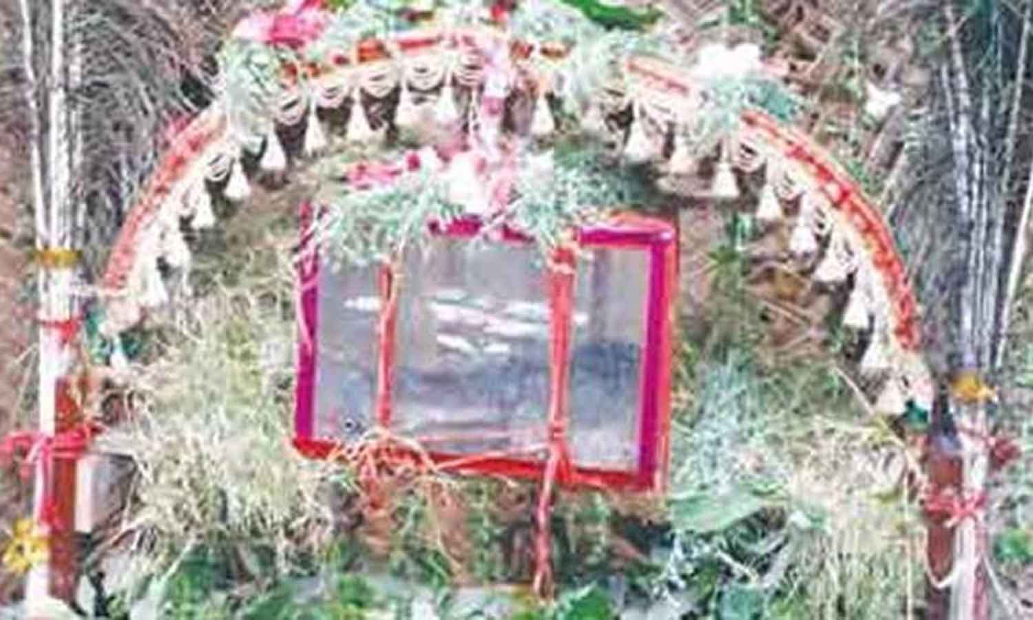 திருச்செந்தூர் கோவிலுக்கு சர்ப்ப காவடி எடுத்து வர பக்தர்களுக்கு தடை ...