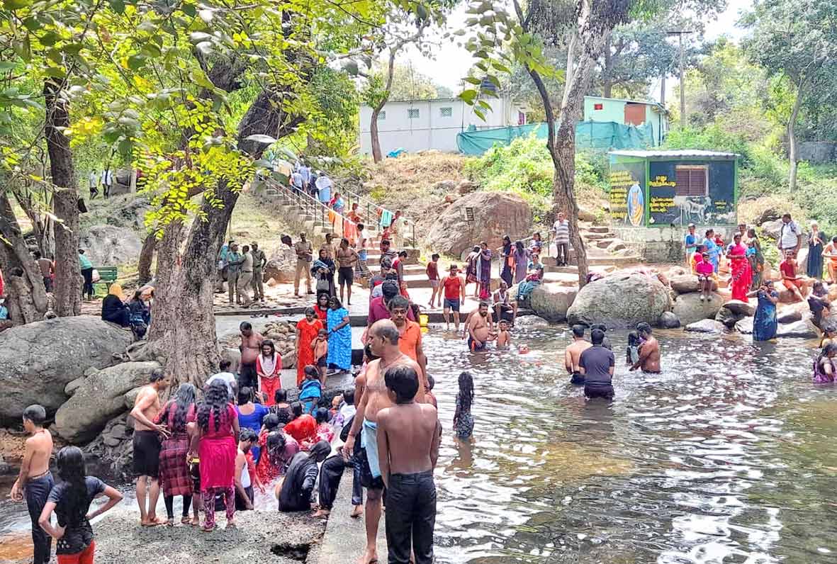 காணும் பொங்கலையொட்டி நெல்லை சுற்றுலா தலங்களில் குவிந்த பொதுமக்கள் ...