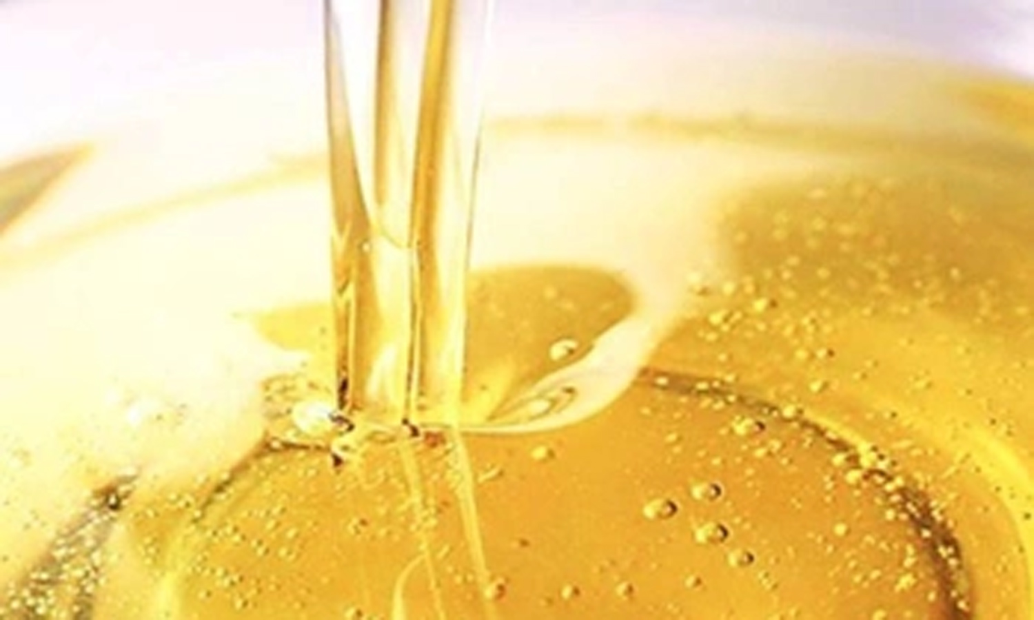 மாடுகளை கொன்று எண்ணெய் தயாரித்த கும்பல்- சமையல் எண்ணெயில் கலந்து மோசடி ...