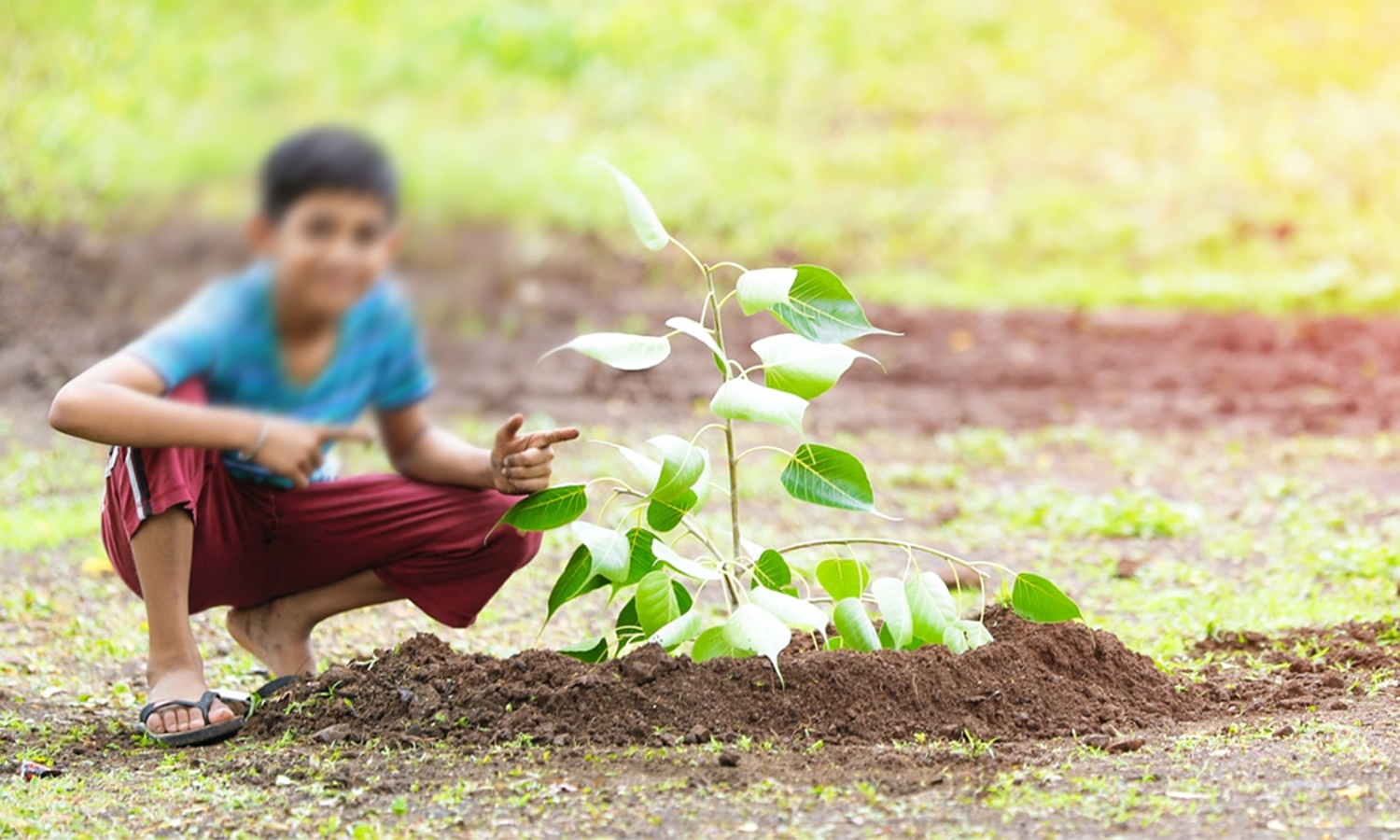 ஒரு குழந்தைக்கு 100 மரங்கள்: சிக்கிம் அரசு முடிவு | Sikkim To Plant 100 ...