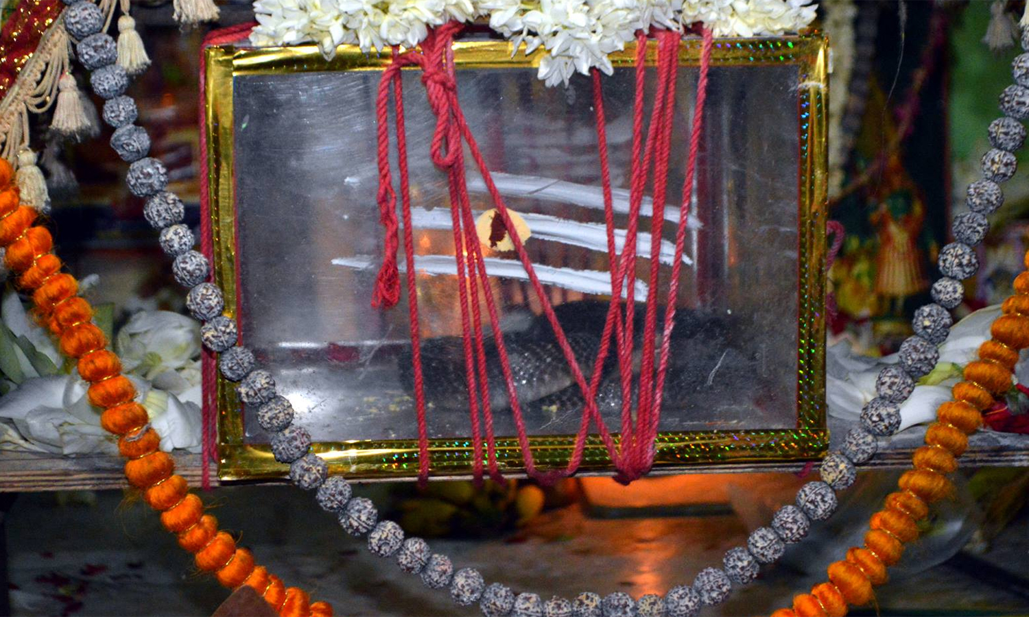 திருச்செந்தூர் கோவில் தைப்பூச திருவிழா: பக்தர்கள் சர்ப்ப காவடி எடுத்து ...