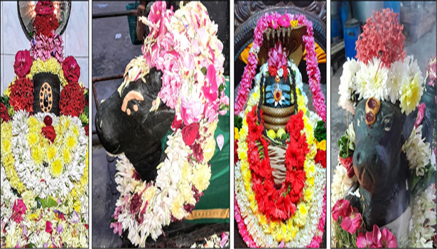 பரமத்தி வேலூர் பகுதி சிவன் கோவில்களில் நந்தி பெருமானுக்கு சிறப்பு ...