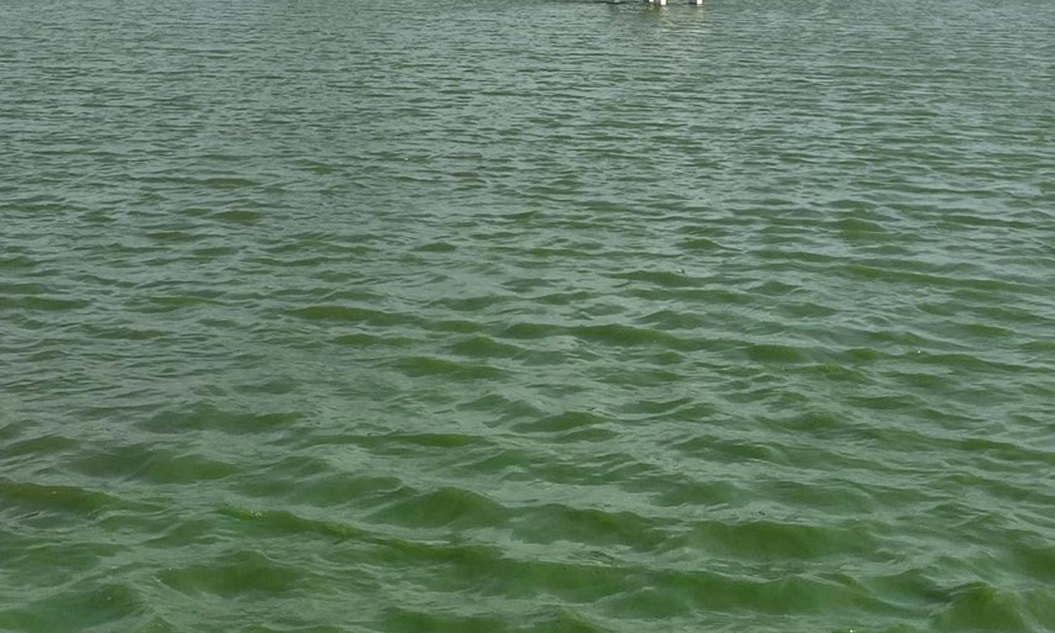 கடம்பத்தூர் அருகே கூவம் ஆற்றின் குறுக்கே புதிய தடுப்பணை- தண்ணீர் ...
