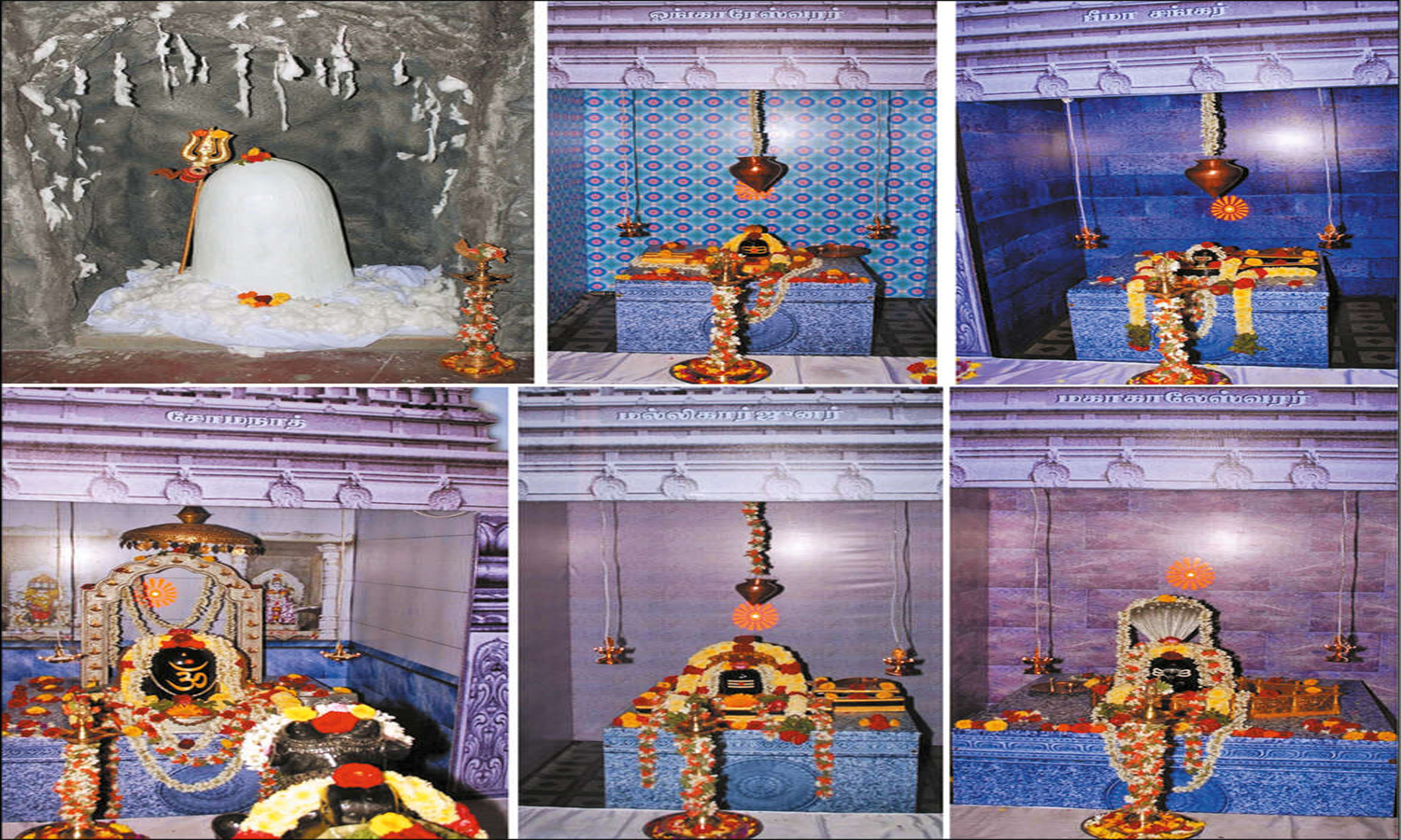 மகாசிவராத்திரியையொட்டி பிரம்மா குமாரி அமைப்பு ஏற்பாடு: 12 ஜோதிர்லிங்க ...