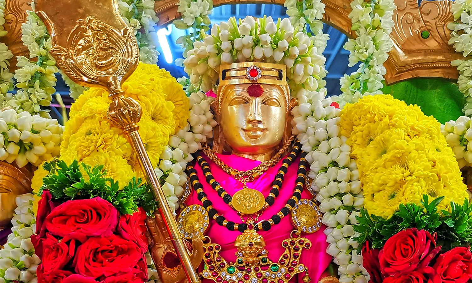 உலக வாழ்வை காக்கும் முருகனின் அருள் | murugan worship