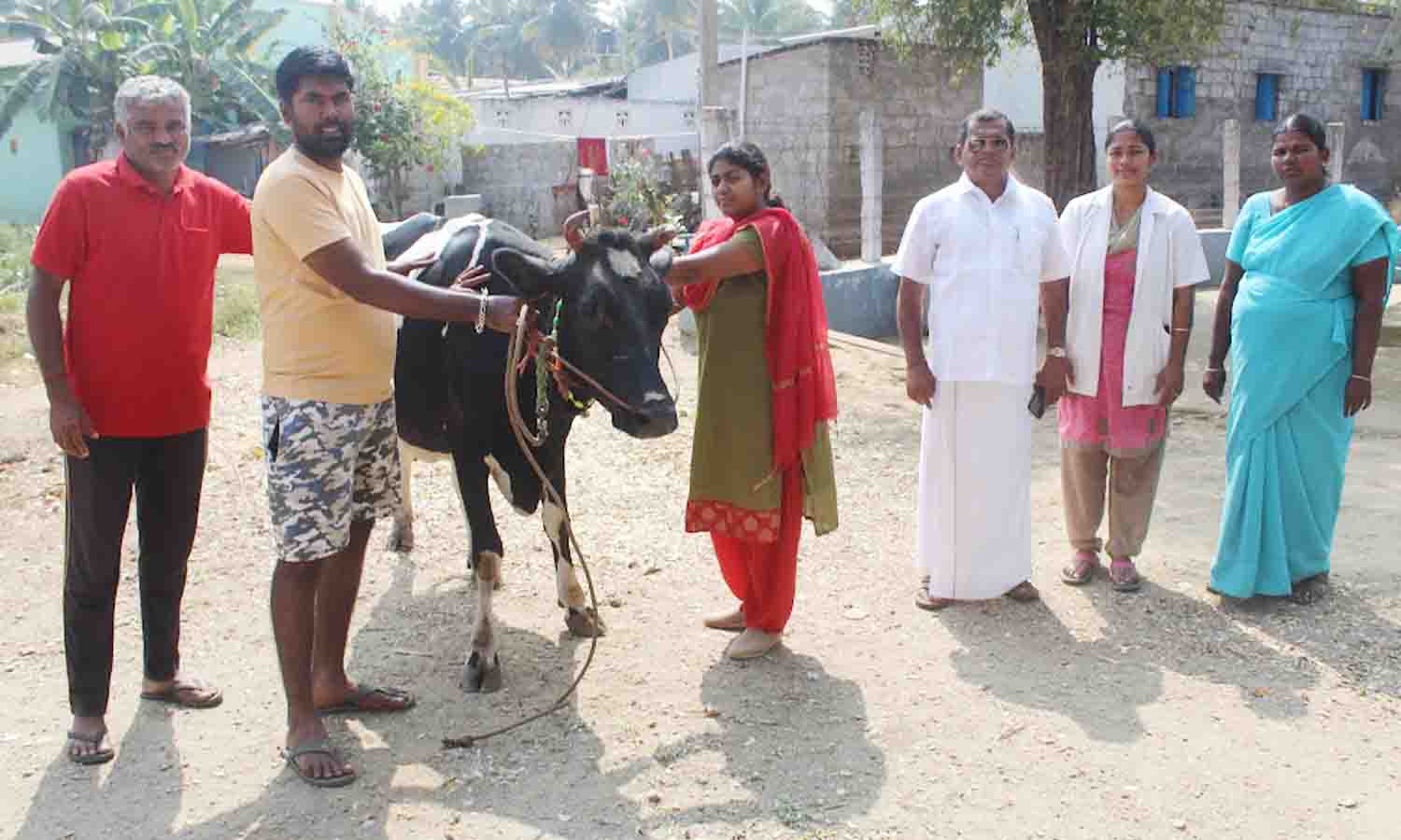 சாமளாபுரம் பேரூராட்சியில் கோமாரி நோய் தடுப்பூசி முகாம் வருகிற 31-ந் ...
