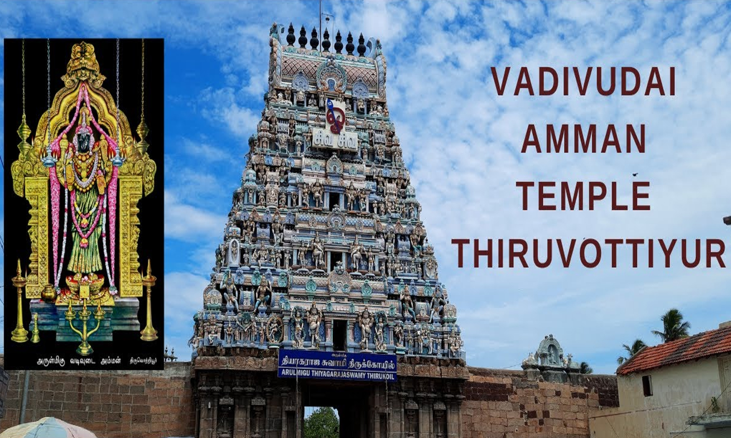 திருவொற்றியூர் வடிவுடையம்மன் கோவிலில் கல்யாண சுந்தரர் திருக்கல்யாணம் ...