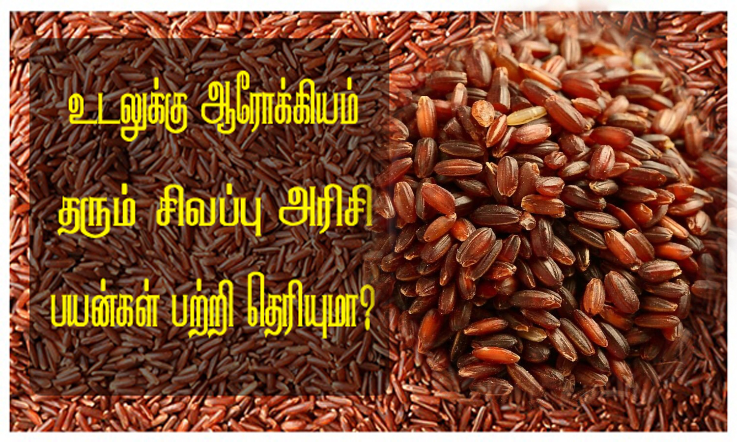 சிவப்பரிசியில் உள்ள சத்துக்கள் என்னவென்று தெரியுமா? | red rice benefits