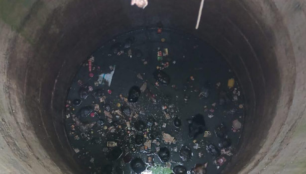 பொன்னேரியில் கிணற்றில் விழுந்து தத்தளித்த தெரு நாய்கள்- தீயணைப்பு ...