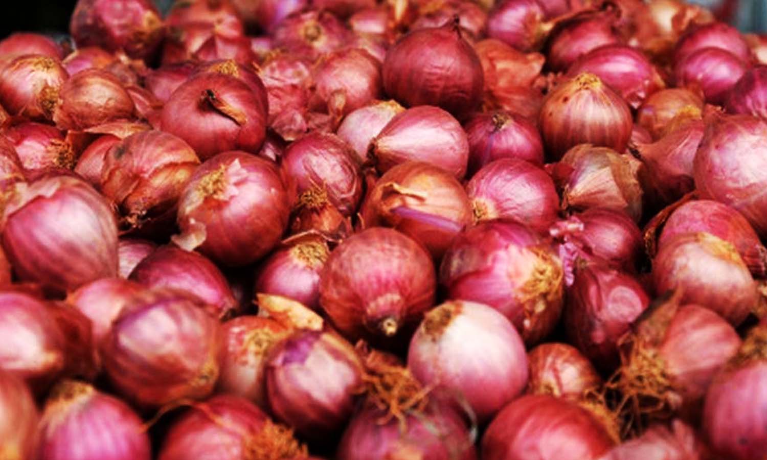 வெளி மாநிலங்களில் இருந்து அதிகளவு இறக்குமதி- நெல்லை மார்க்கெட்டுகளில் ...