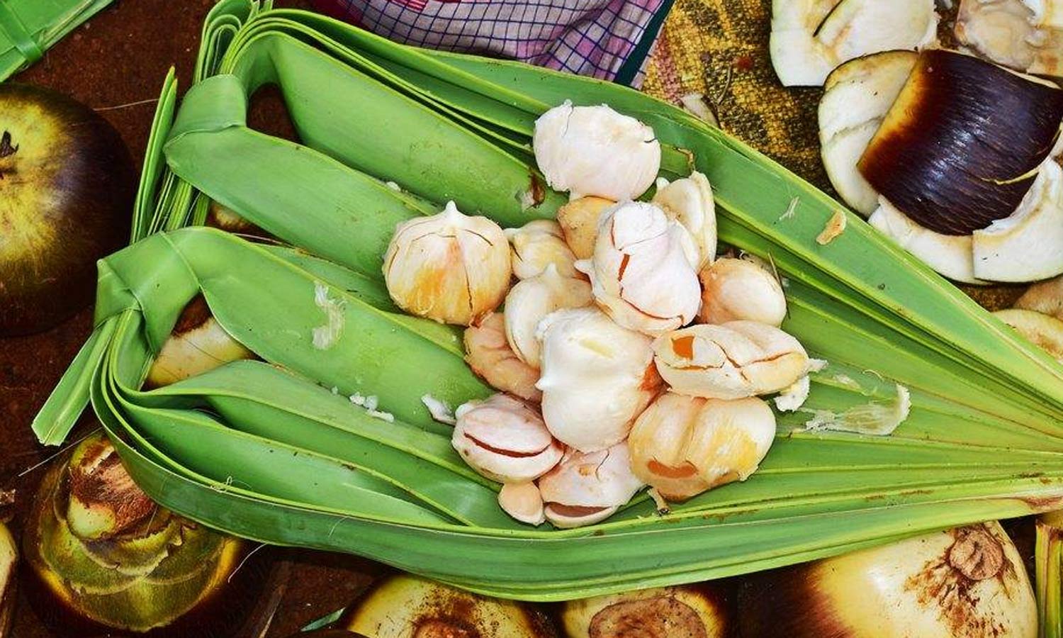 சென்னையில் சுட்டெரிக்கும் வெயில்- நுங்கு, பதனீர், ஜூஸ் விற்பனை தீவிரம் ...