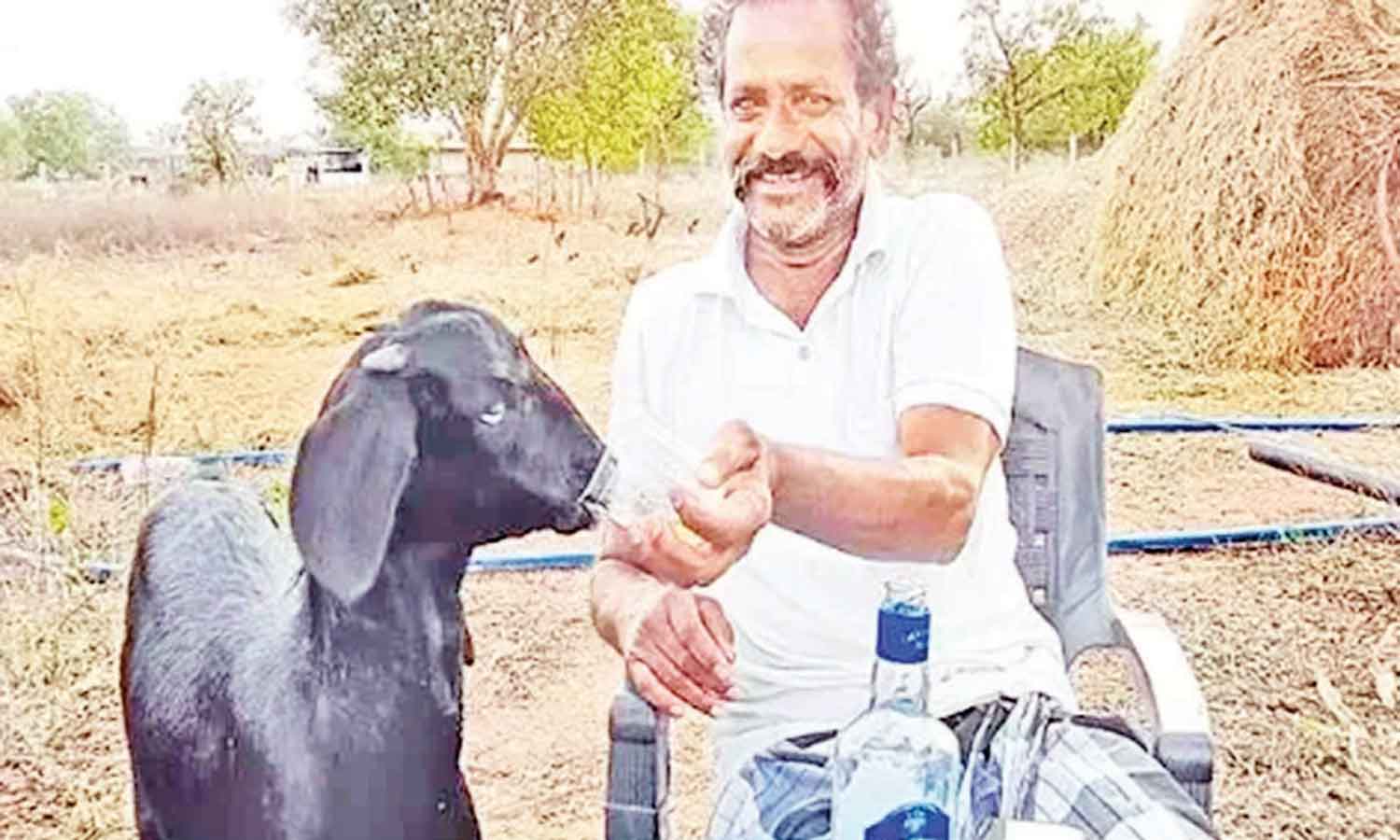 தினமும் மது குடிக்கும் ஆடு- வீடியோ வைரல் | Tamil News Video viral for ...