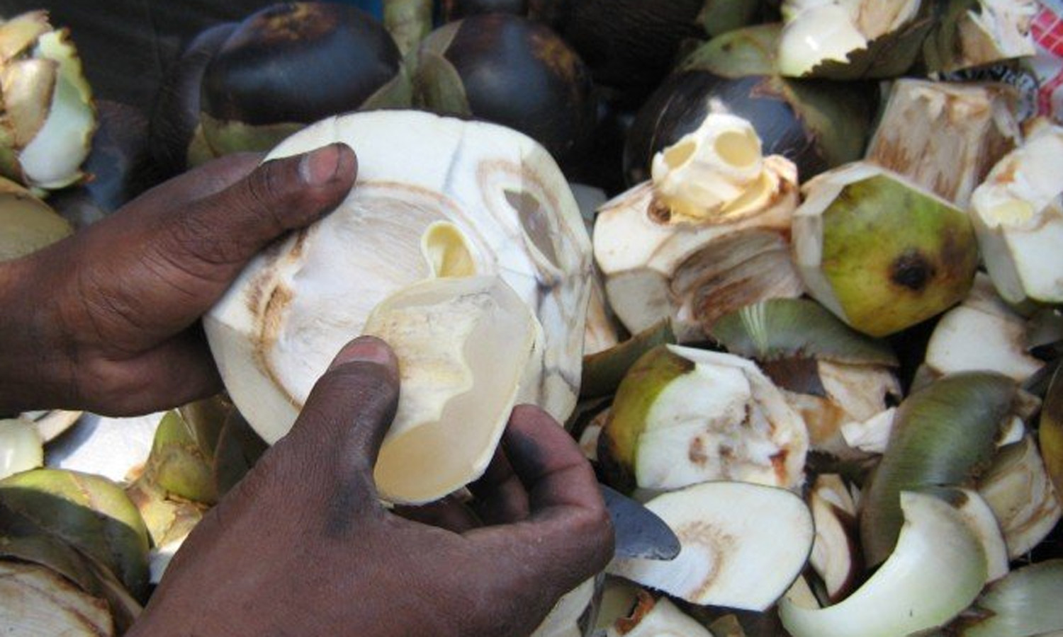 சென்னையில் வெயிலை சமாளிக்க நுங்கு விற்பனை அமோகம் | summer heat echo ...