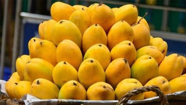 சேலத்தில் செயற்கையாக பழுக்க வைத்த 260 கிலோ மாம்பழம் பறிமுதல் | 260 kg ...