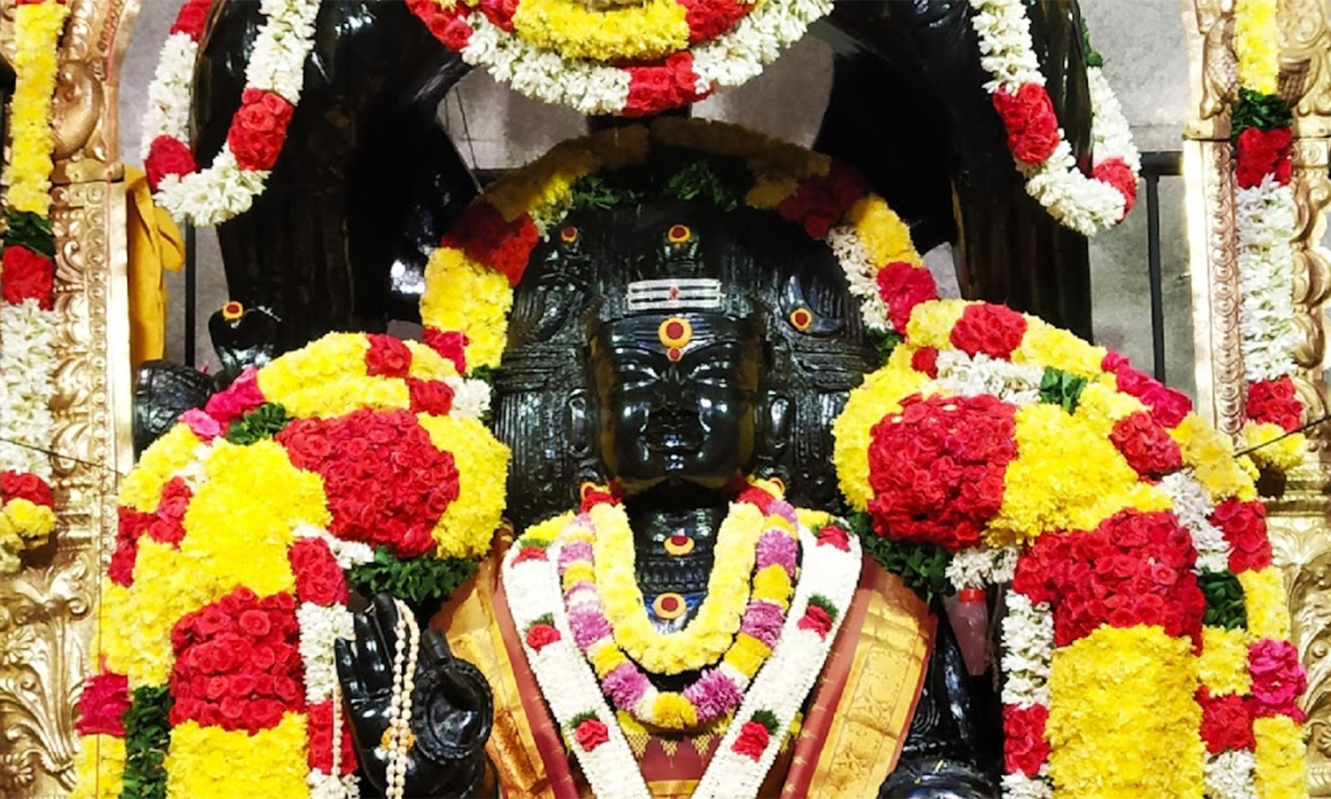 குருப்பெயர்ச்சி: காக்களூர் தட்சணாமூர்த்தி கோவிலில் சிறப்பு வழிபாடு | Guru peyarchi Yoga Gnana ...