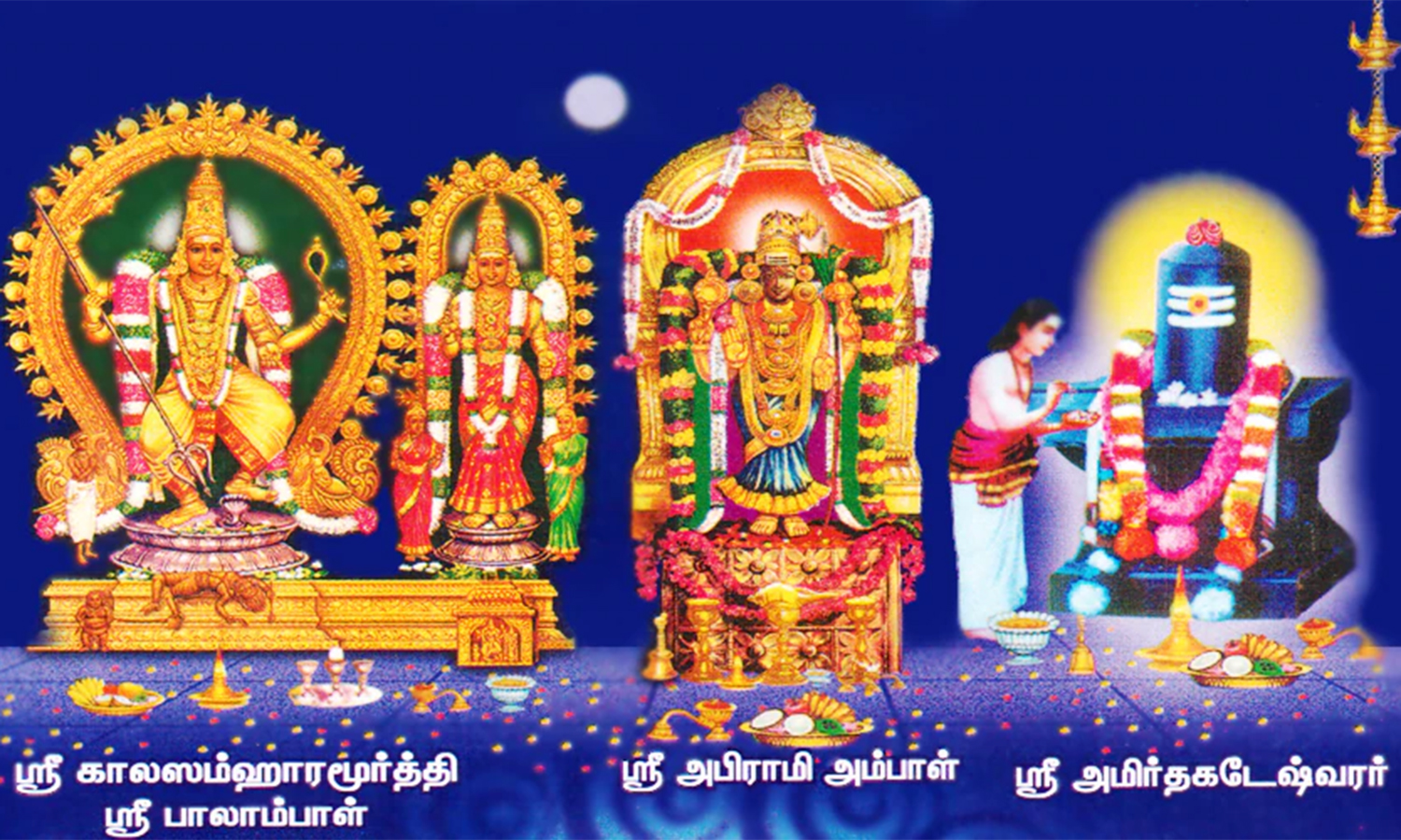 விழாக்கோலம் பூண்ட திருக்கடையூர் அமிர்தகடேஸ்வரா் கோவில் | Thirukadaiyur ...