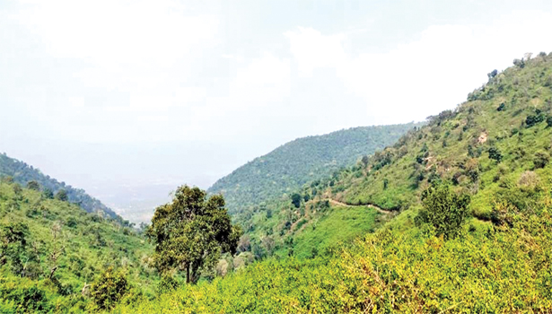 சேலம் மலை கிராமங்களூக்கு அதி நவீன செல்போன் வசதி | State-of-the-art cell ...