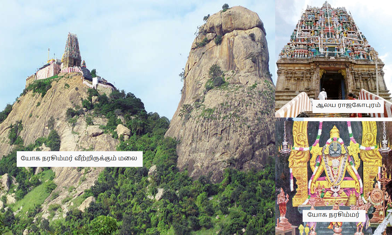 கேட்கும் வரங்களை தரும் சோளிங்கர் யோக நரசிம்மர் திருக்கோவில் | Sholingur ...