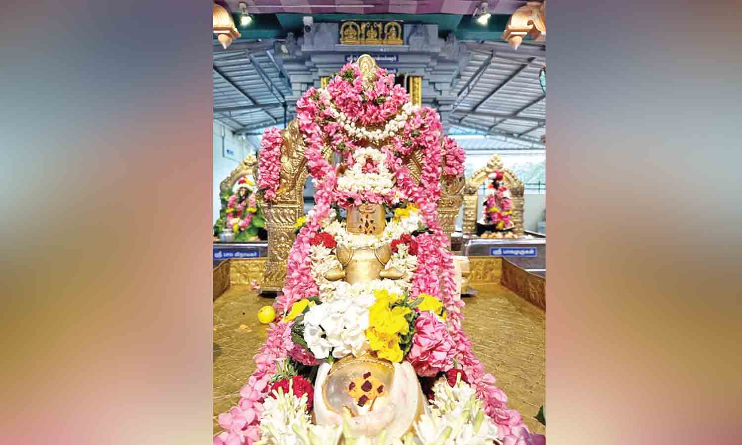 வெள்ளகோவில் சிவன் கோவில்களில் பிரதோஷ சிறப்பு வழிபாடு | Tirupur ...