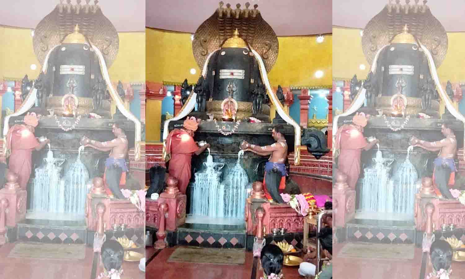 பல்லடம் சிவன் கோவில்களில் பிரதோஷ வழிபாடு | Tirupur : Pradosha worship ...