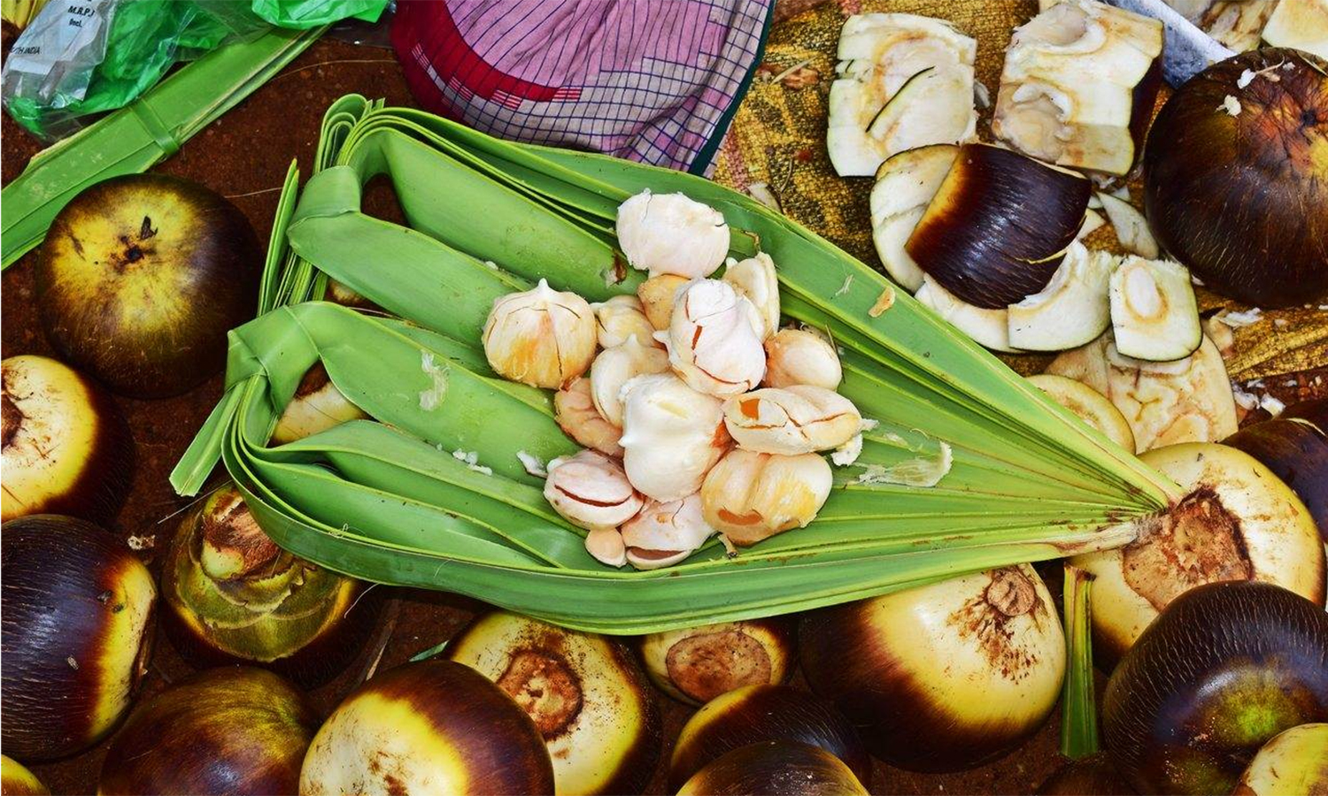 நீரிழிவு நோயாளிகள் நுங்கு சாப்பிடலாமா? | Can Diabetics Eat Nungu Ice Apple