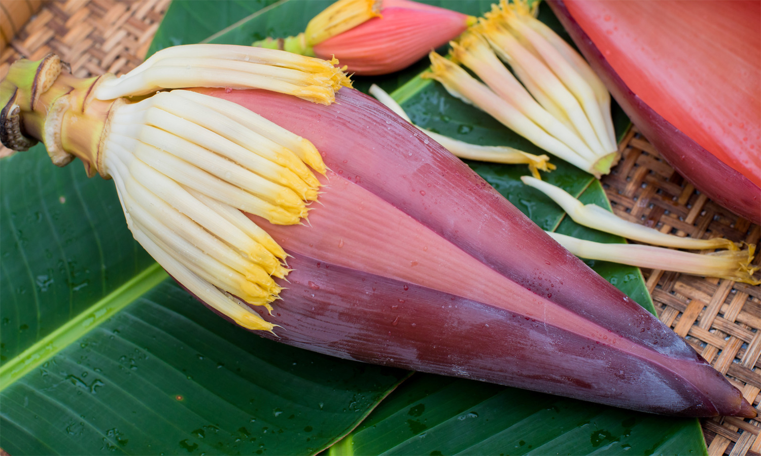 வாரம் இருமுறை வாழைப்பூ சாப்பிட்டால் இவ்வளவு நன்மைகளா? | valai poo ...