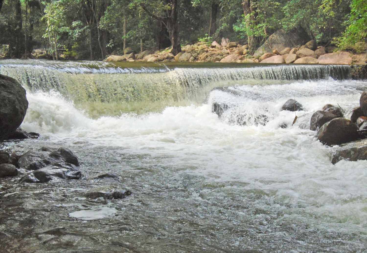 பராமரிப்பு பணிகளுக்காக களக்காடு தலையணை மூடல்-வனத்துறை அறிவிப்பு ...