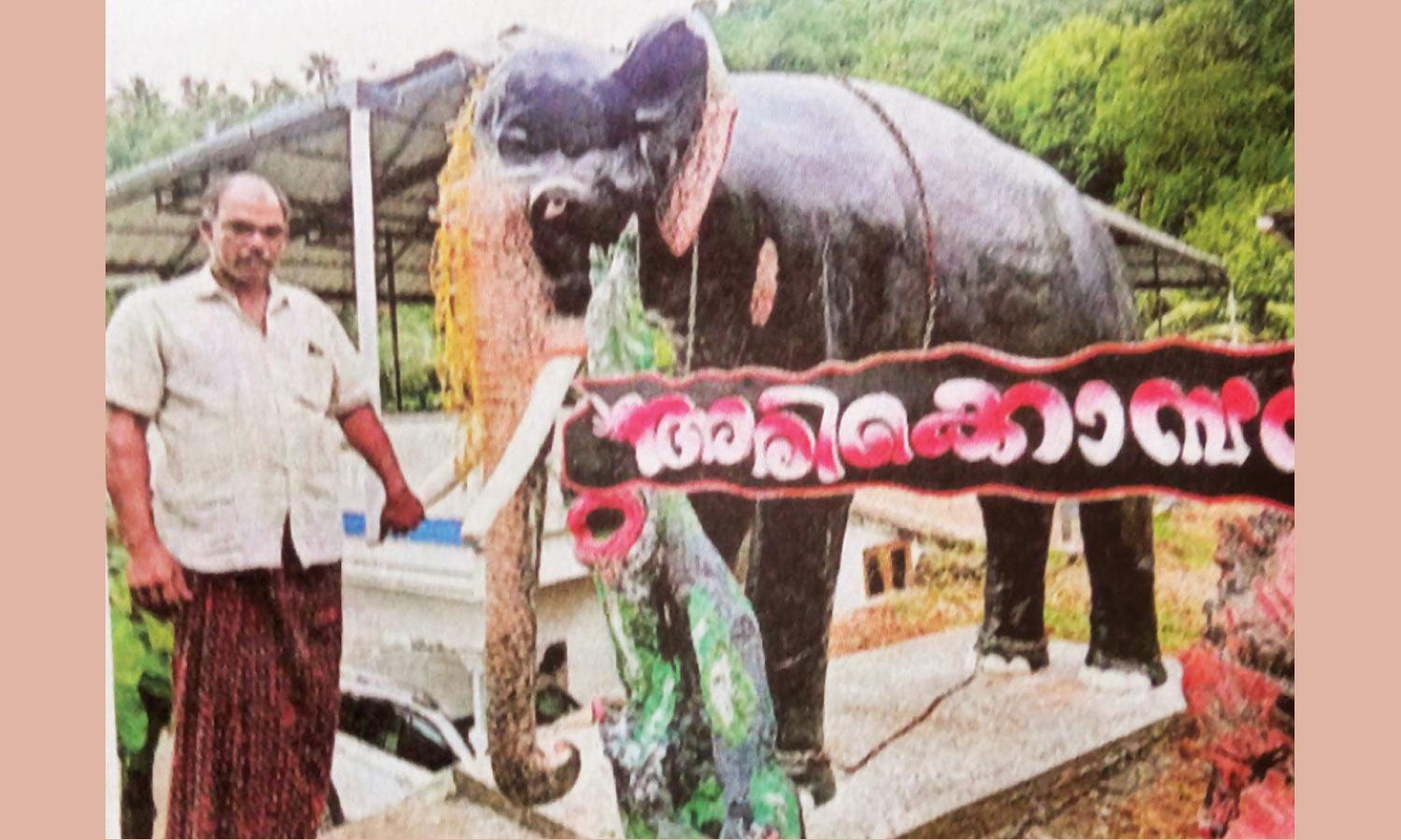 மூணாறு அருகே அரிசிக்கொம்பன் யானைக்கு 8 அடி உயர சிலை- சுற்றுலா பயணிகள் ...