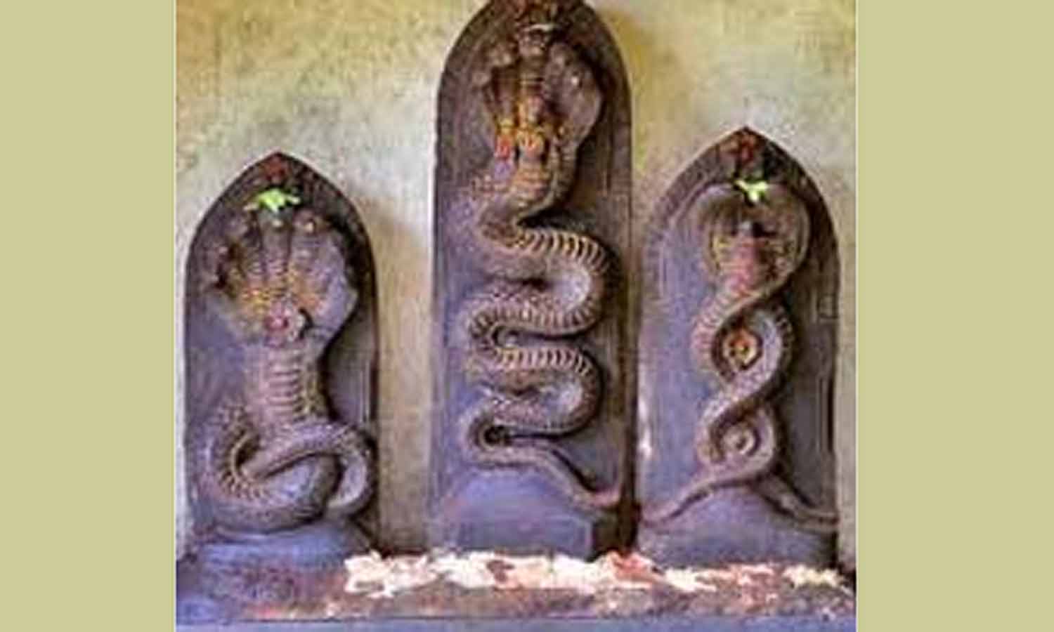 ஜாதக அமைப்பு படி நாக தோஷம் | Aanmiga Kalanjiyam naga dosham