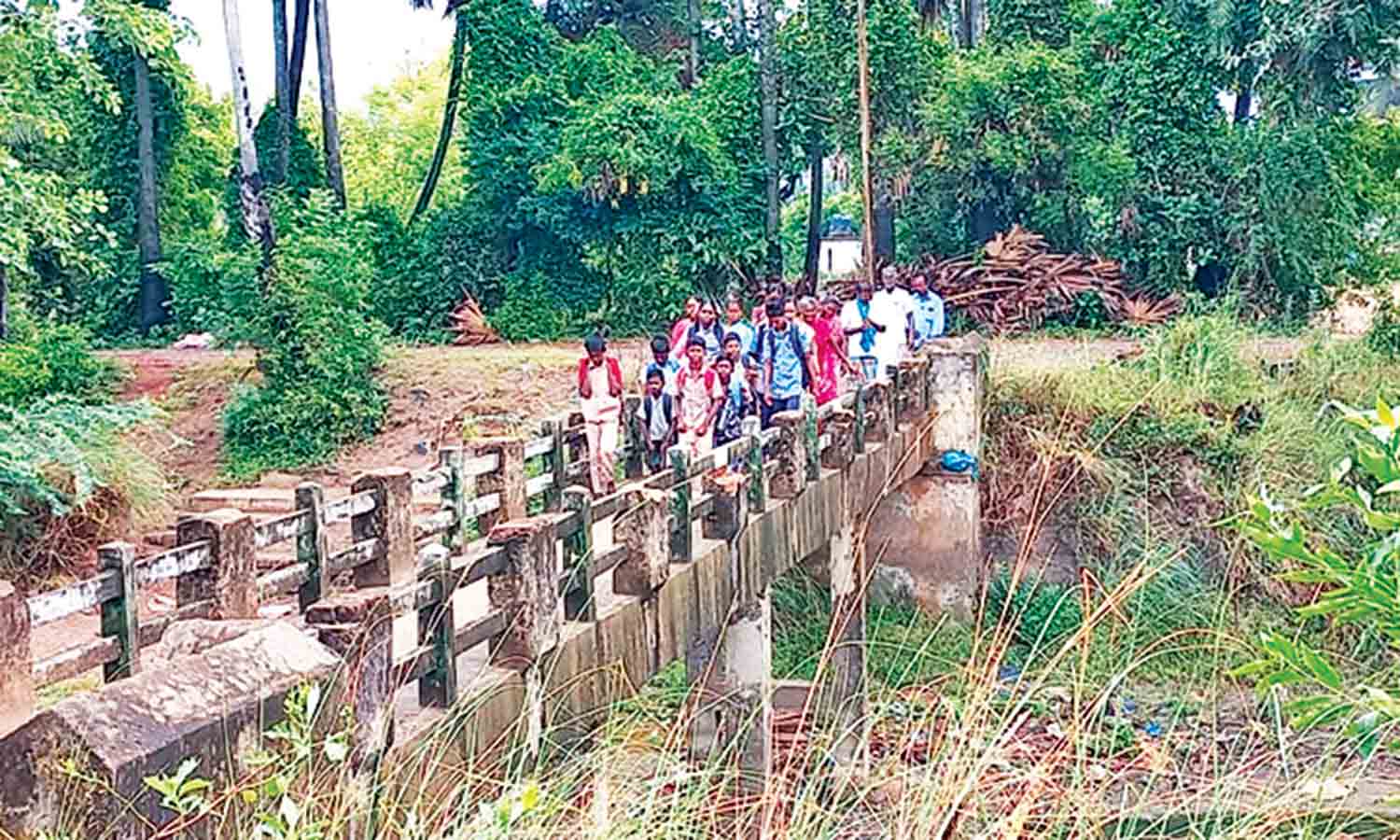 முடிகொண்ட ஆற்றின் குறுக்கே புதிய பாலம் கட்டப்படுமா? | Will a new bridge ...