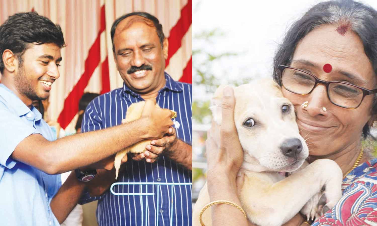 தெரு நாய்களை பராமரித்து தத்து கொடுக்கும் இளைஞர்கள் | Tamil News Young ...