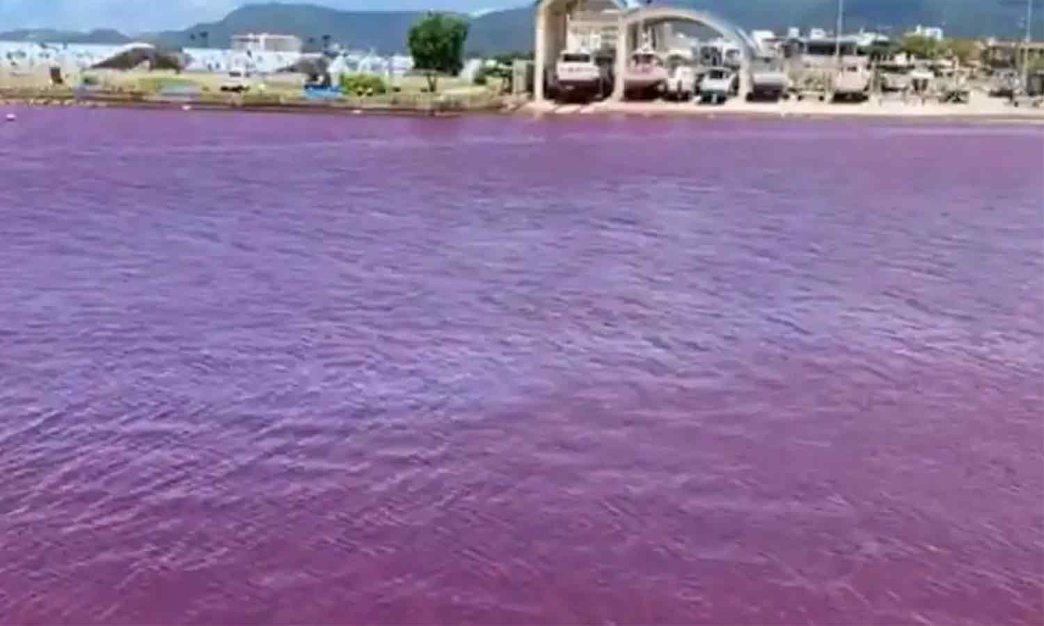 ஜப்பானில் ரத்த சிவப்பாக மாறிய நதிநீர்: பொதுமக்கள் பீதி | River In Japan ...
