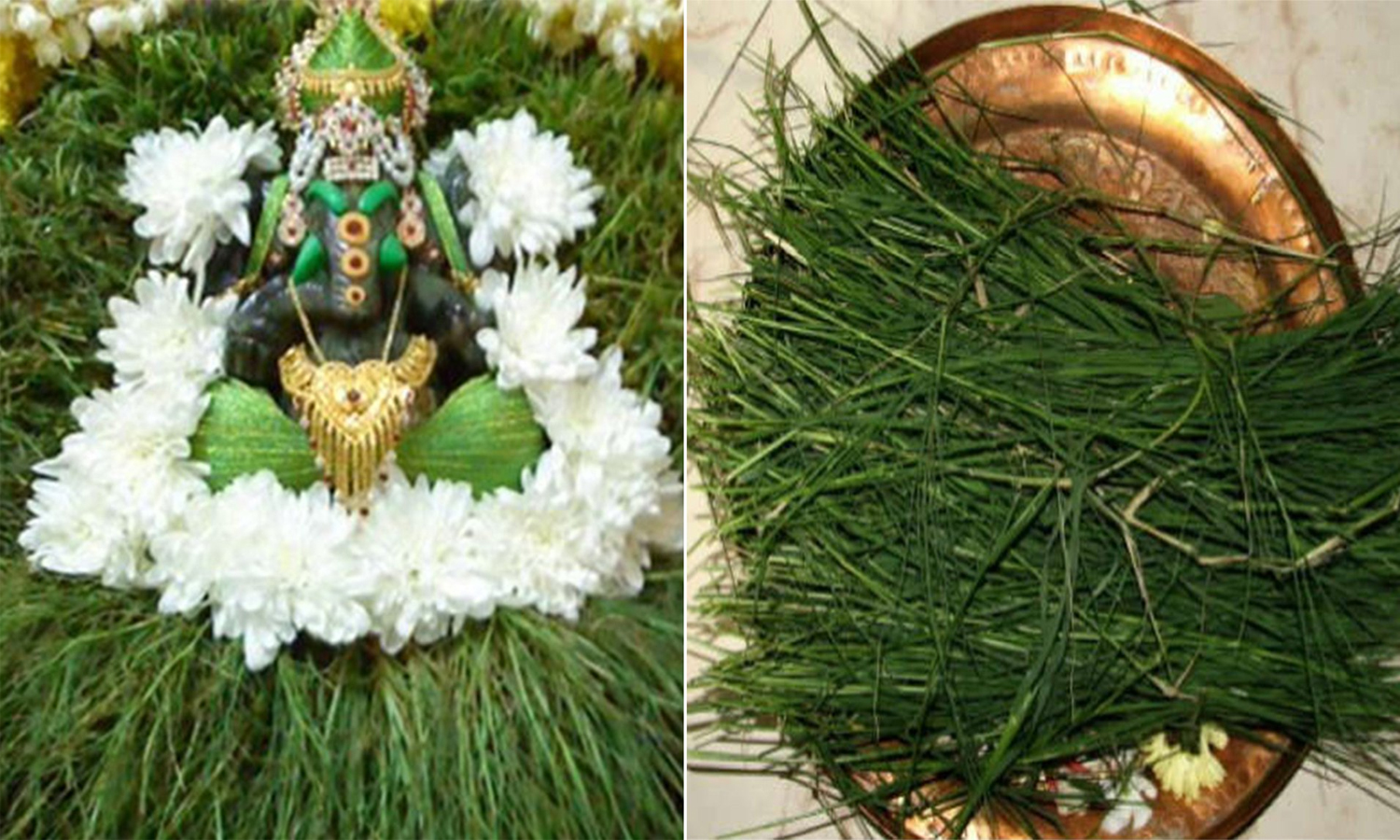 விநாயகருக்கு அருகம் புல் மாலை போடுவது ஏன்? | vinayagar arugampul malai