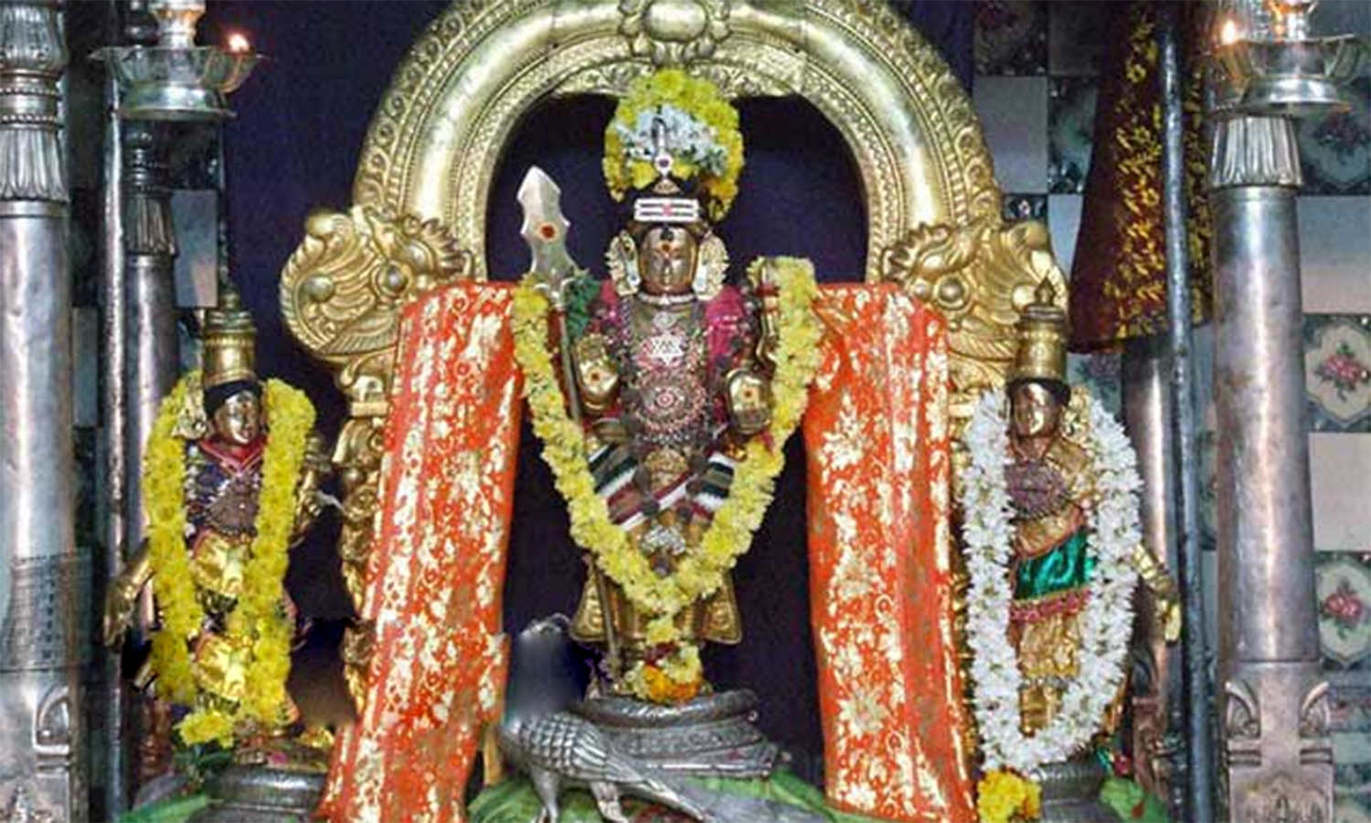 மனமுருகி வேண்டியவர்களை கைவிடாத "சிங்காரவேலவர்'': பக்தர்கள் கூறிய உண்மை ...