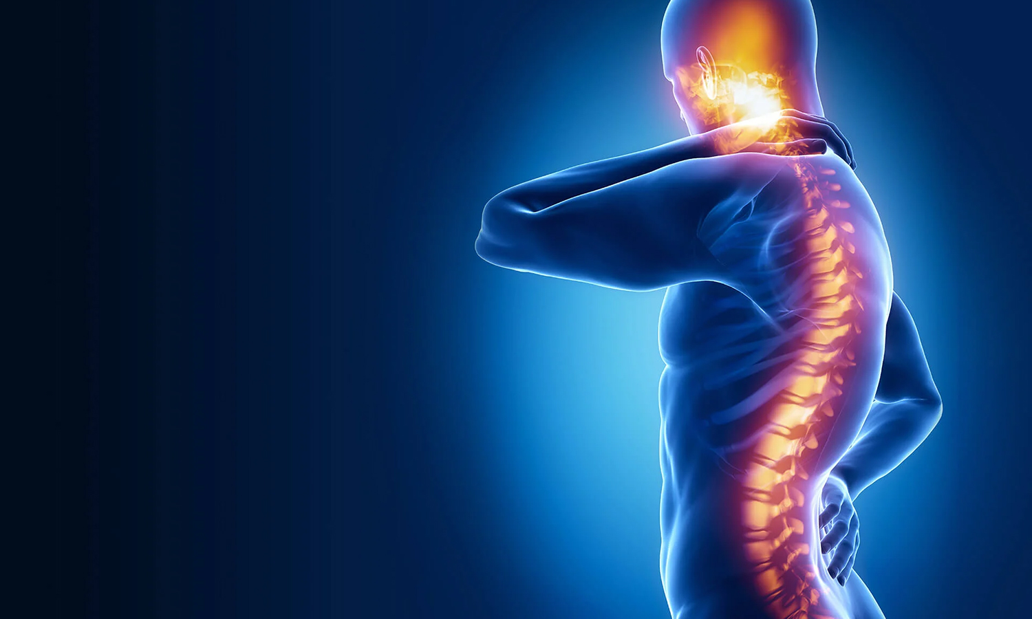 முதுகெலும்புக்கு இது முக்கியம் | It is important for the spine Spinal ...