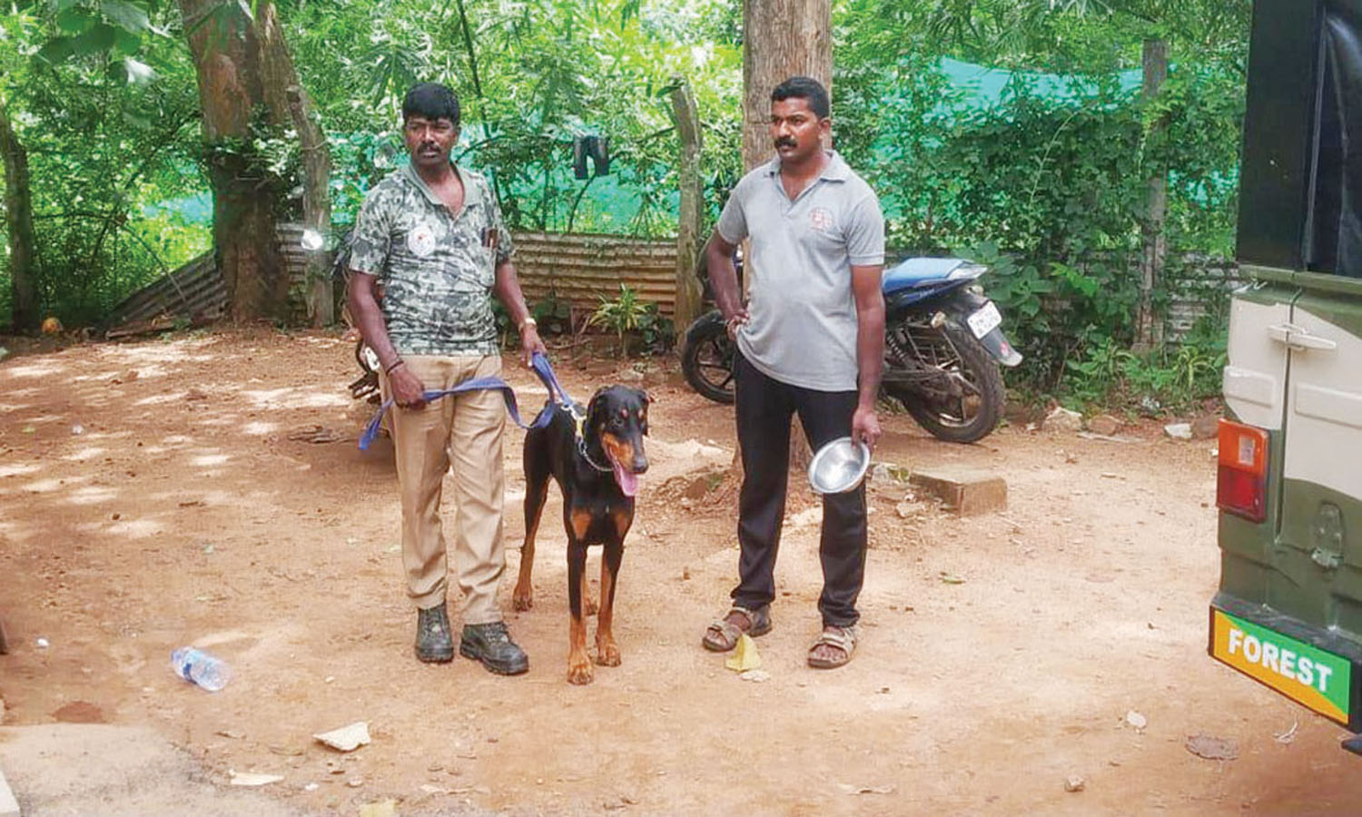 சிற்றாறு வனப்பகுதியில் சுற்றி திரியும் புலியின் நடமாட்டத்தை கண்டறிய ...