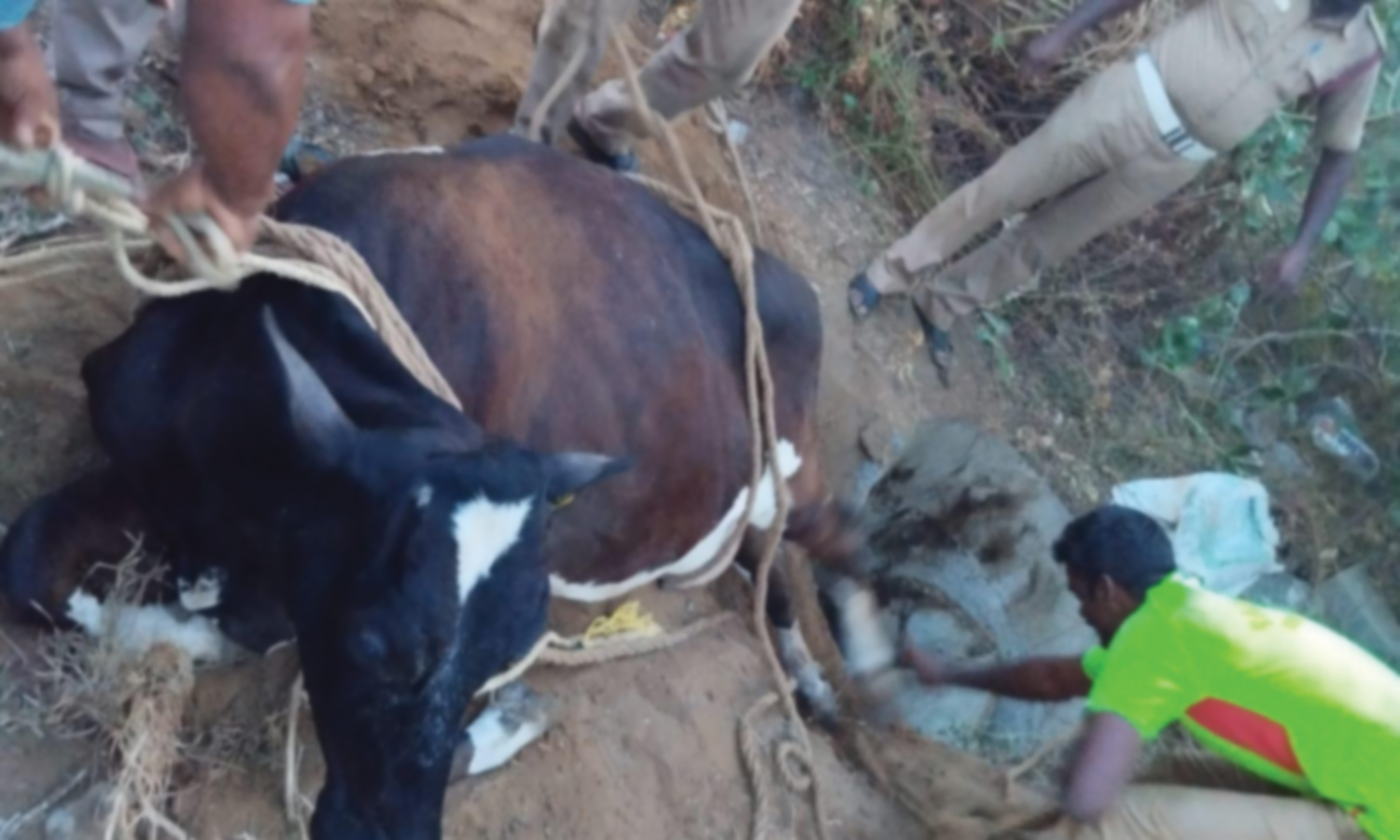 கன்னியாகுமரி சுனாமி குடியிருப்பு பகுதியில் கழிவுநீர் தொட்டியில் விழுந்த ...
