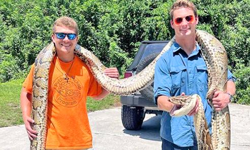 19 அடி நீள மலைப்பாம்பை கையால் பிடித்த வாலிபர்கள் | Record breaking 19 ...